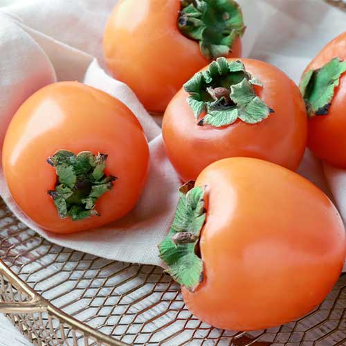 Idamaine hurmaa Sharon Rojo Brillante (7040): istikud Osta soodsamalt ...